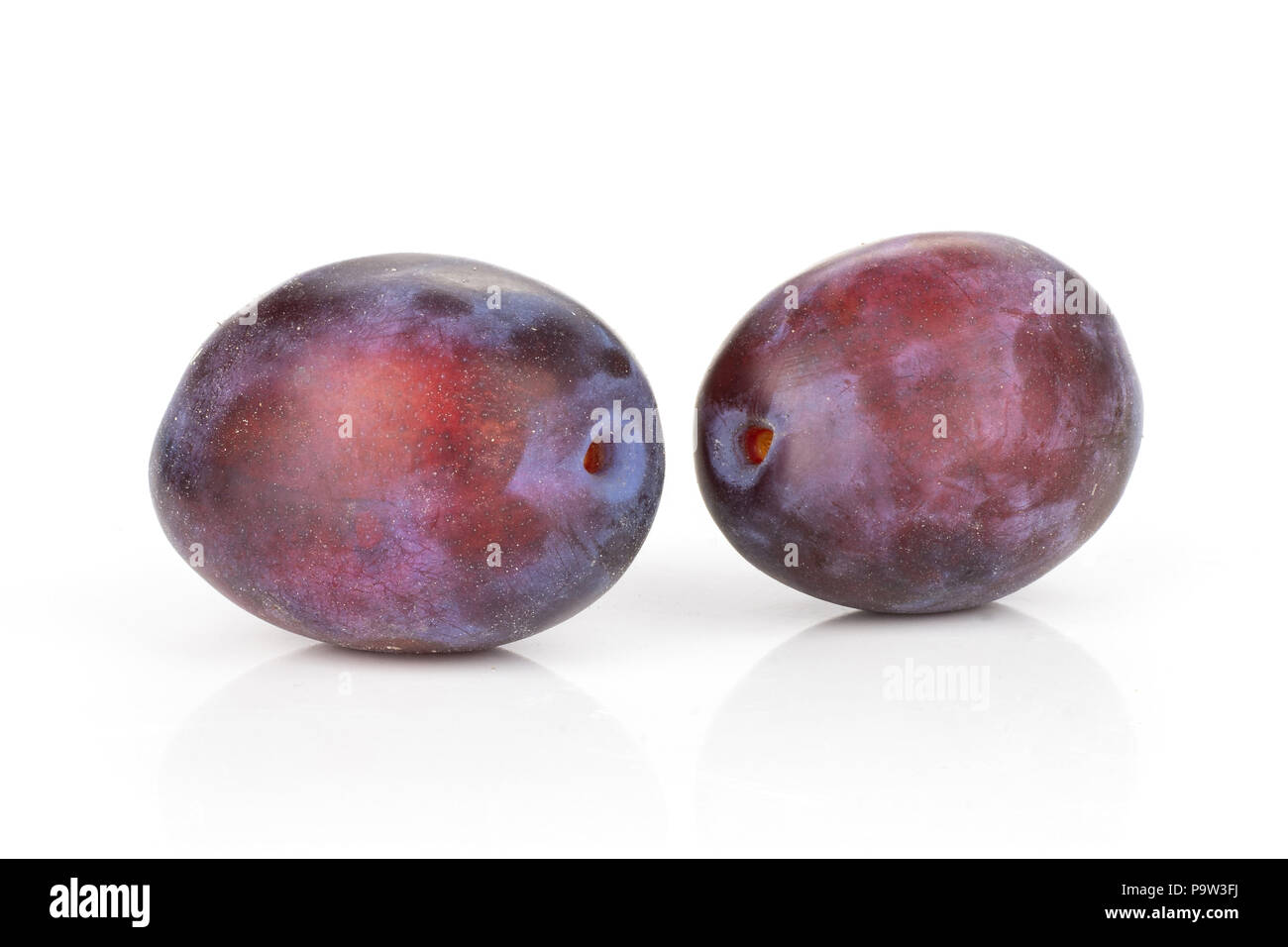 Group of two whole fresh violet-blue plum vibrant moyer variety ...