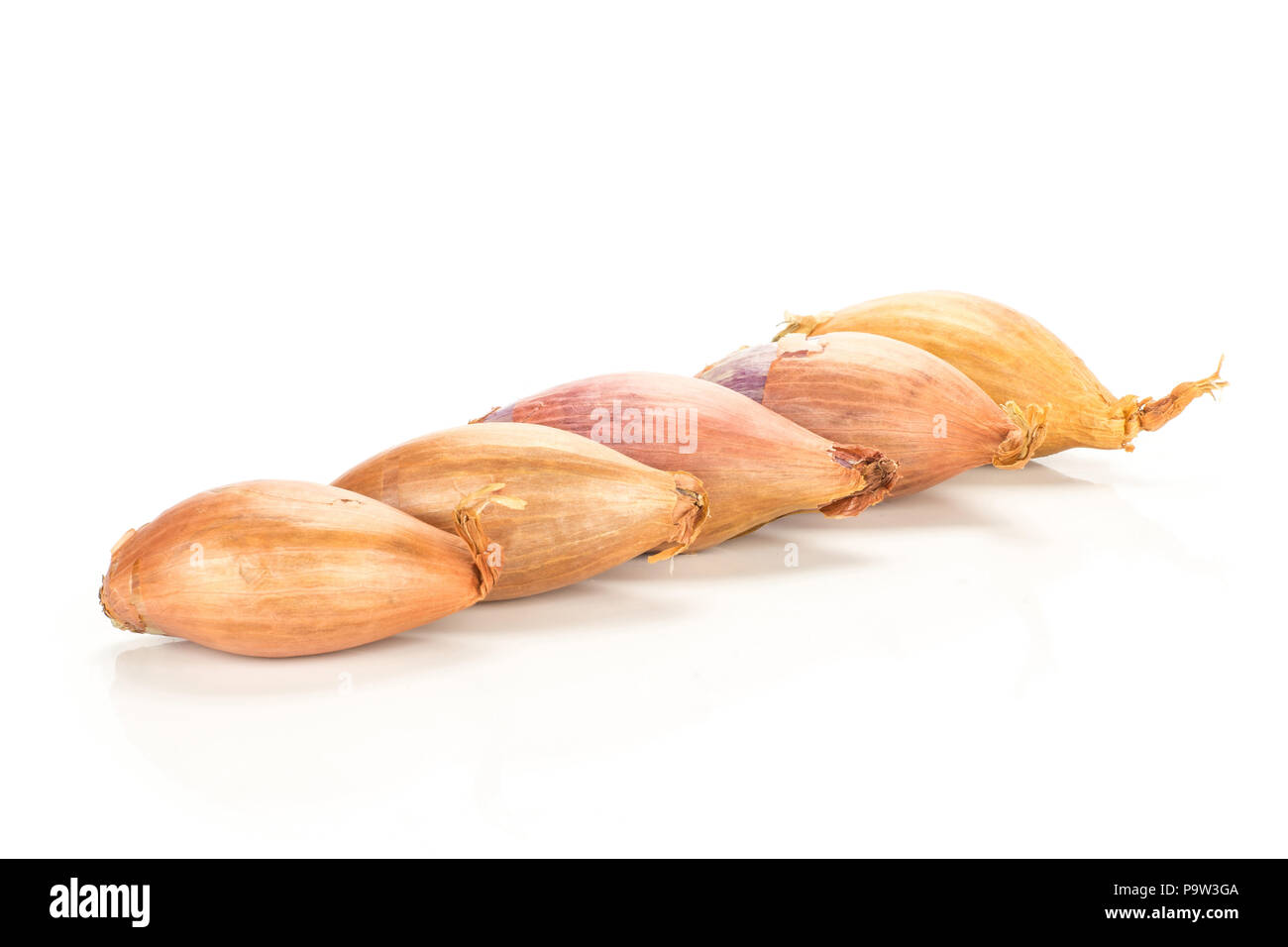 Five unpeeled shallots in row isolated on white background Stock Photo ...