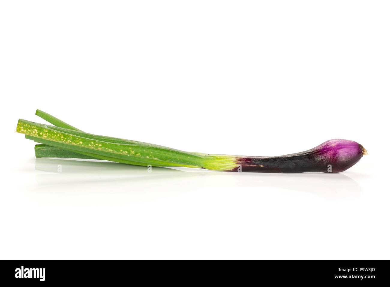 One whole fresh green spring onion red scallion variety isolated on ...