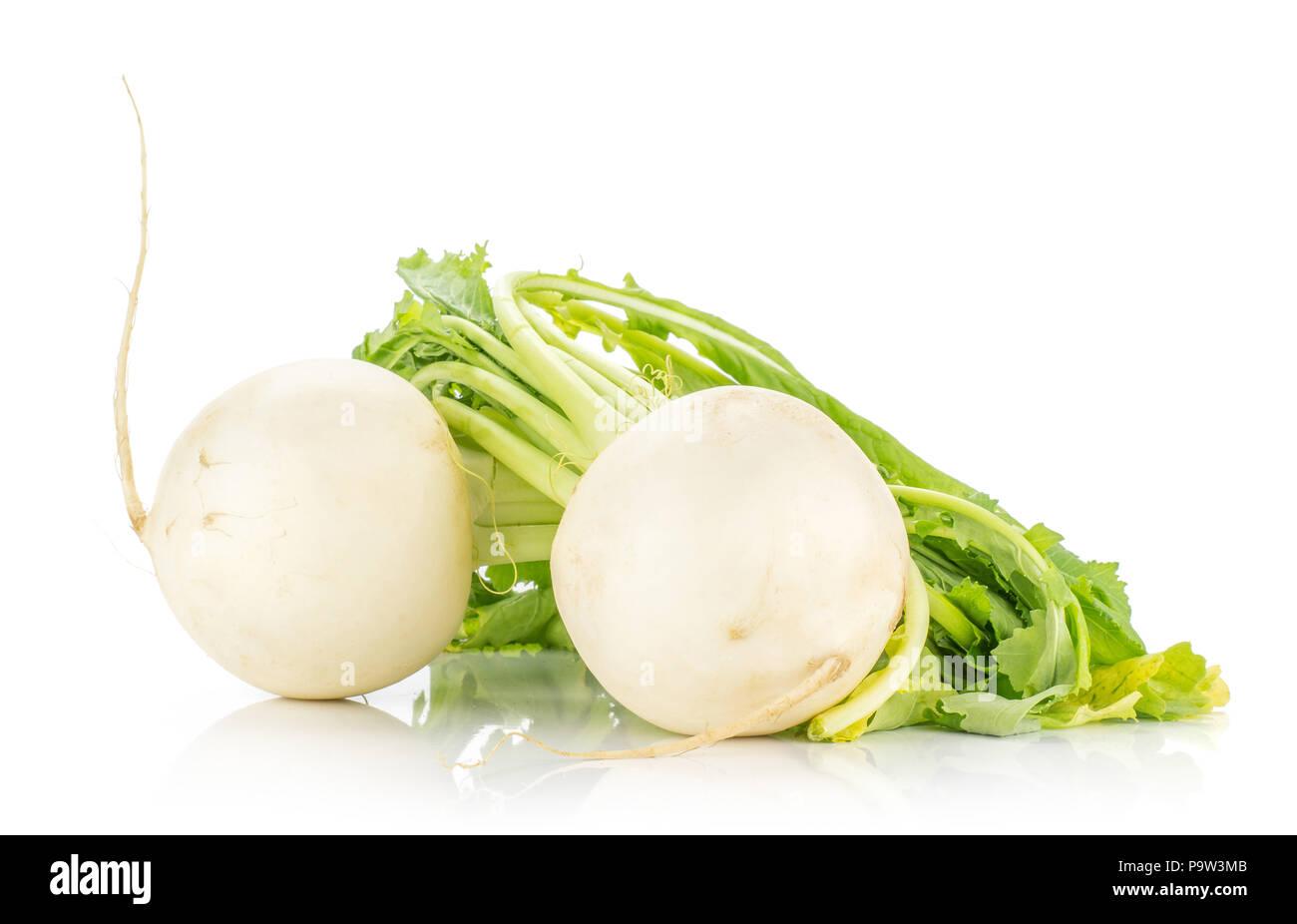 Two white radish bulbs with leaves isolated on white background Stock ...