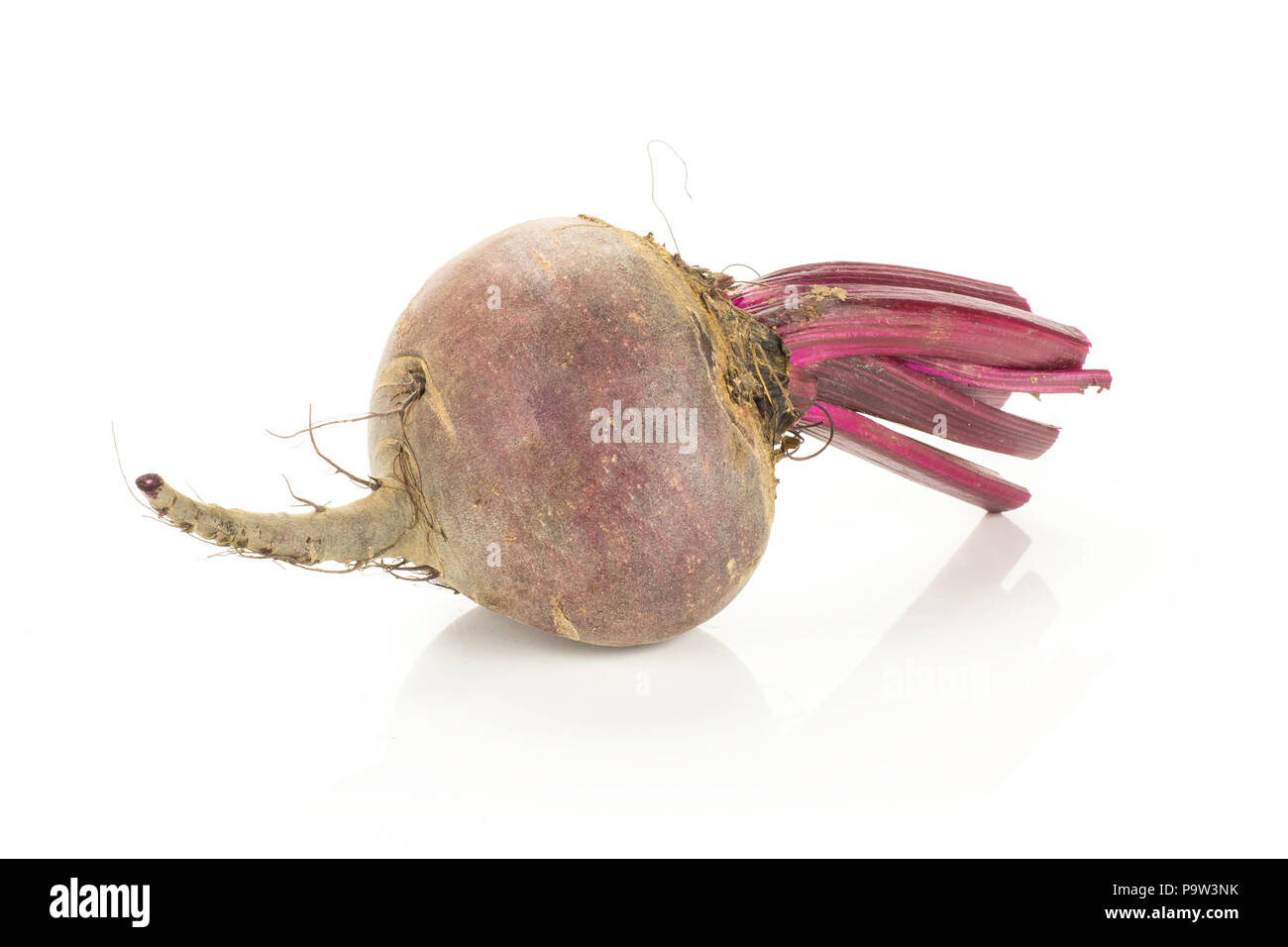 One red beet with cut tops isolated on white background one root bulb ...