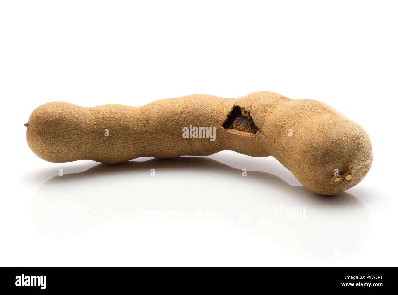 Brown tamarind isolated on white background one Indian date in a ...