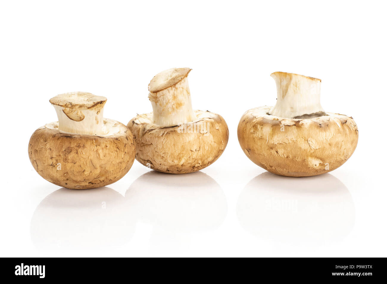 Three fresh raw brown champignons isolated on white background Stock ...