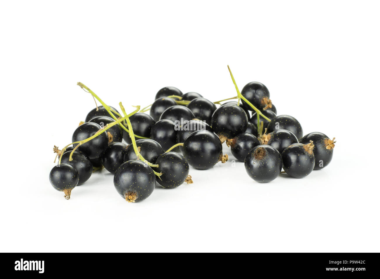 Lot of whole fresh black currant berry ben gairn variety heap isolated ...