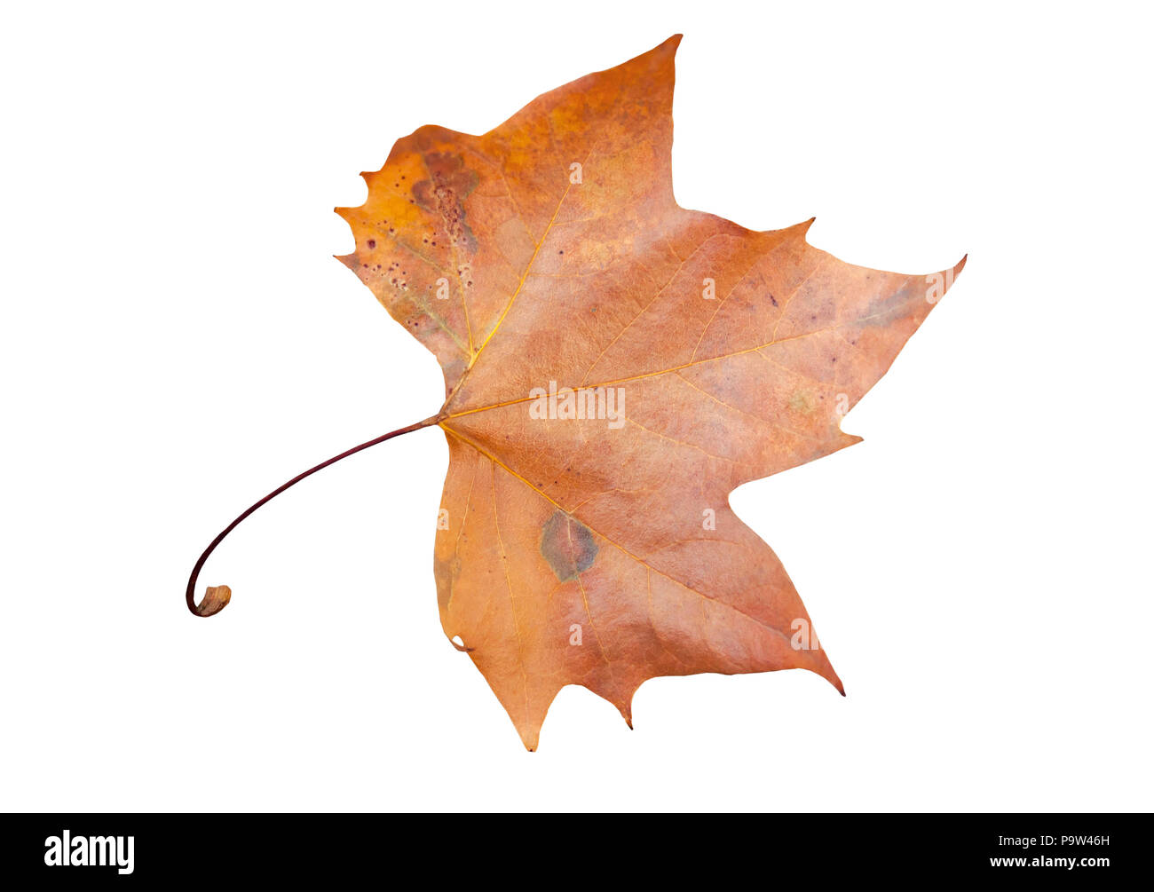 Red template like background Cut Out Stock Images & Pictures - Alamy