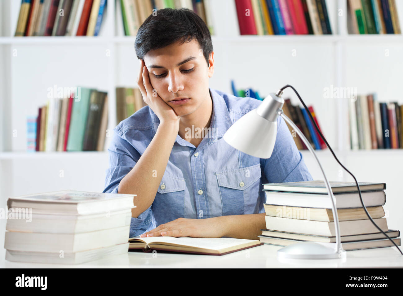 Student learning in library Stock Photo - Alamy