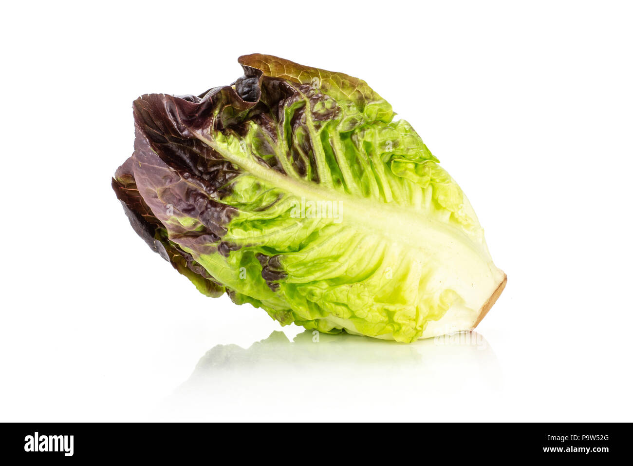 One whole fresh green lettuce red little gem variety side view isolated ...