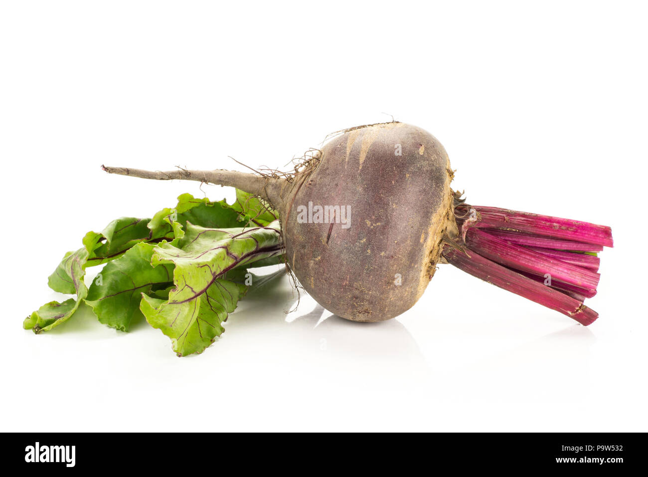 One red beet with cut tops isolated on white background one bulb with ...