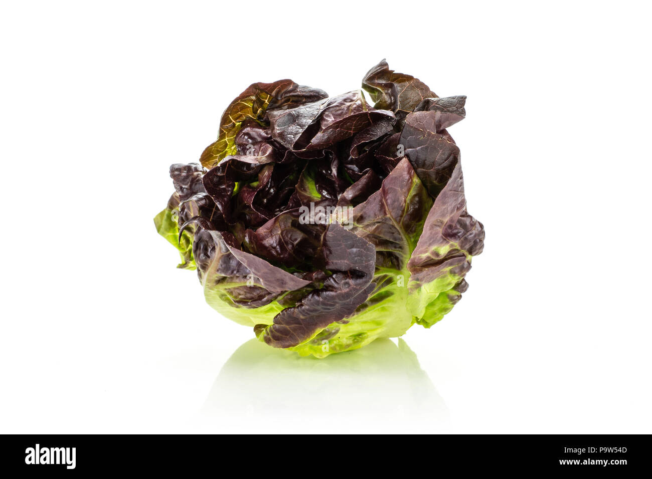 Whole gem lettuce hi-res stock photography and images - Alamy