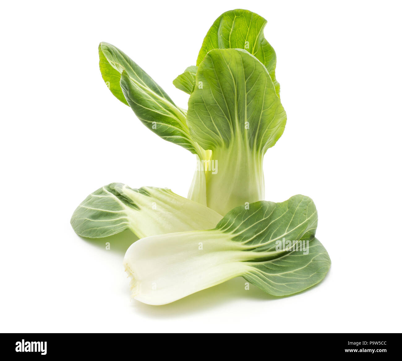 Two bok choy (Pak choi) leaves and one cabbage isolated on white ...