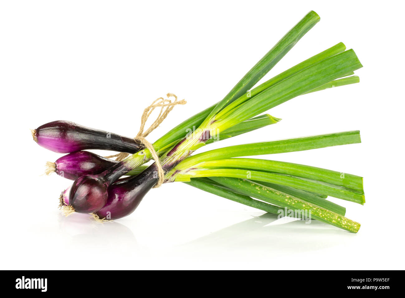 Group of five whole fresh green spring onion red scallion variety bunch ...