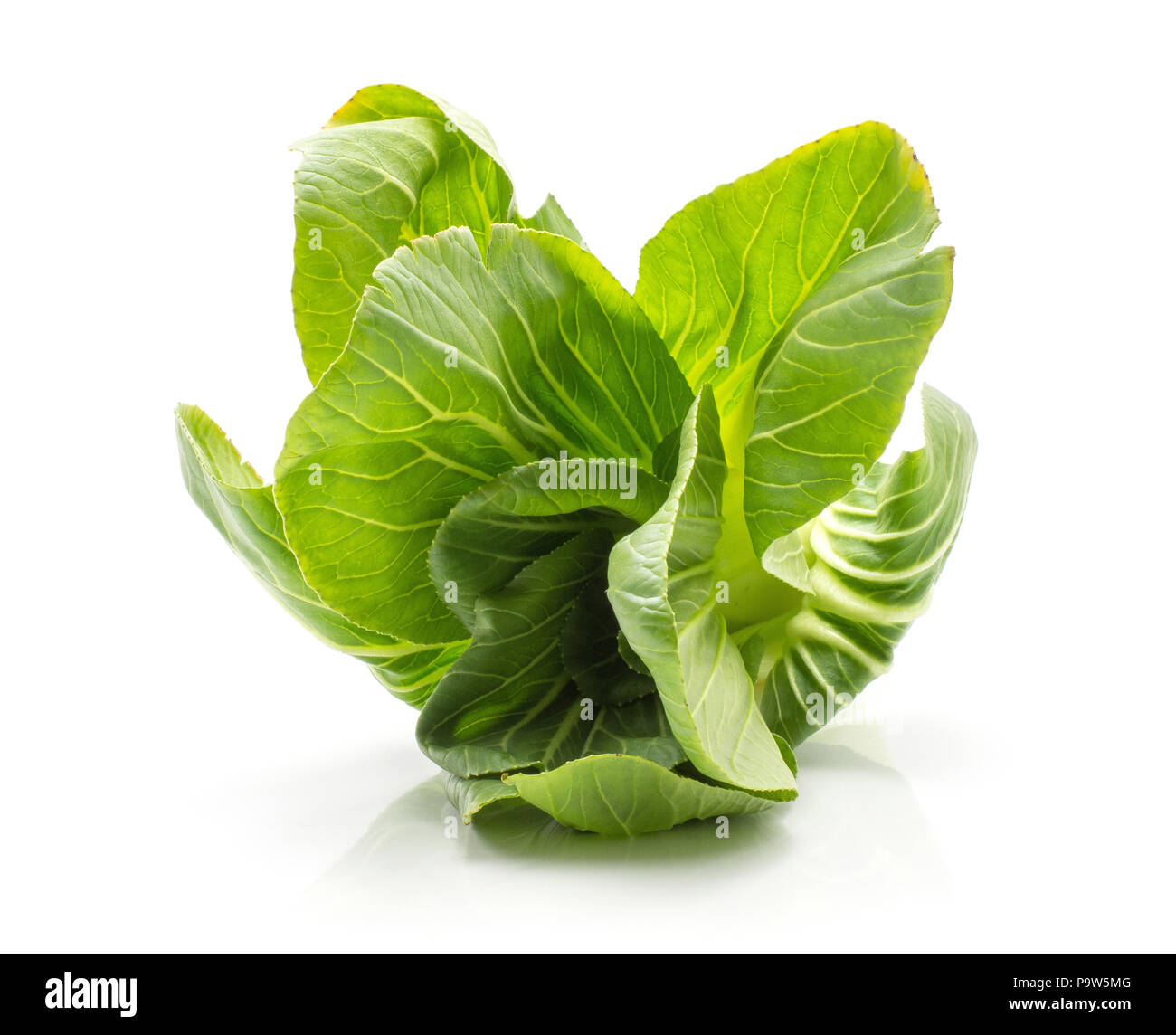 Pakchoi cabbage brassica chinensis Cut Out Stock Images & Pictures - Alamy