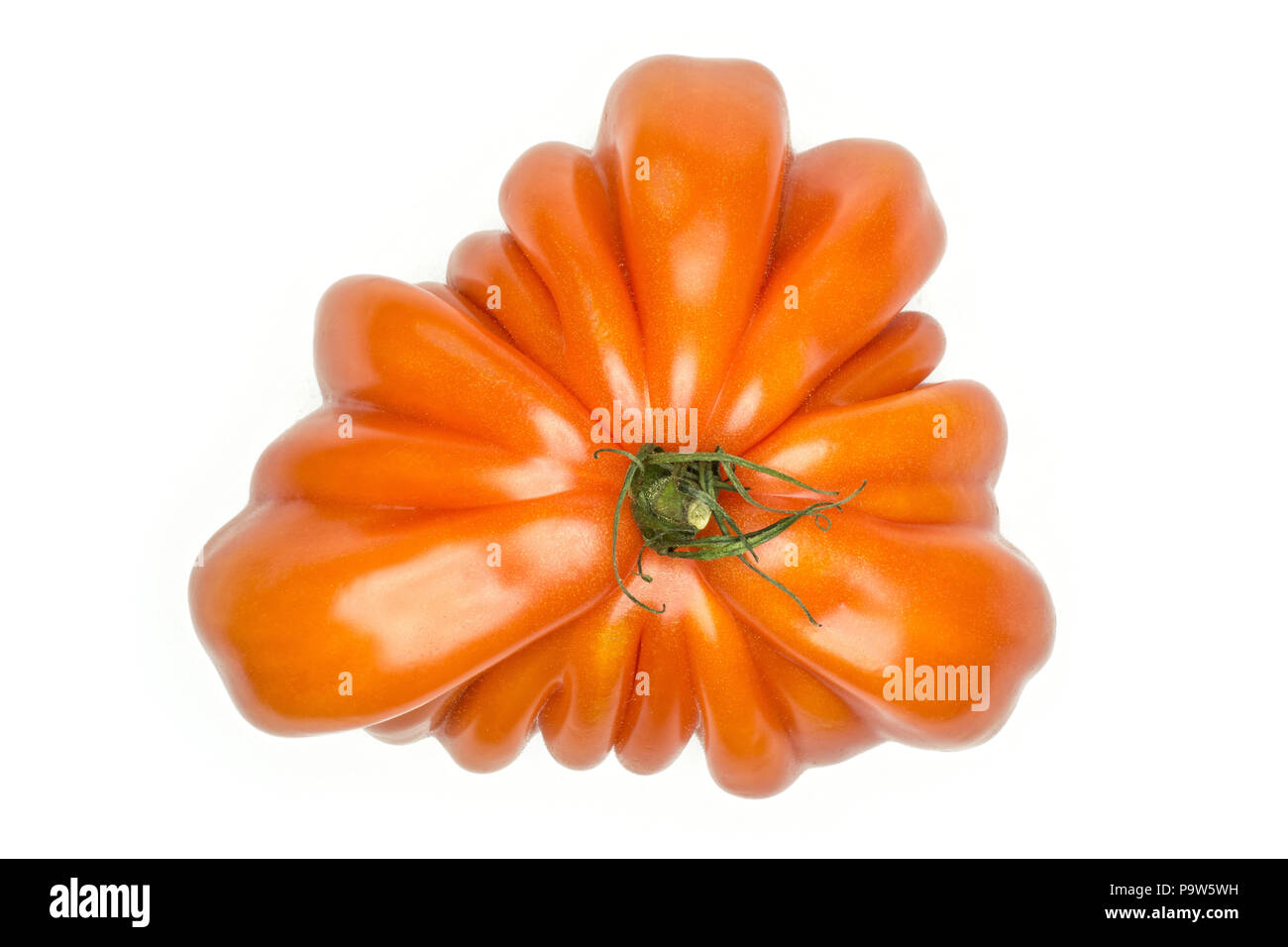 Beef tomato (triangle shape) top view isolated on white background one ...