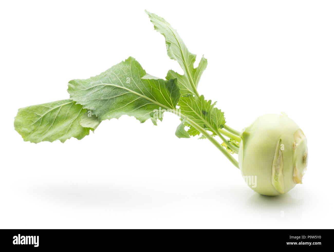 Kohlrabi (German turnip or turnip cabbage) with fresh leaves isolated ...
