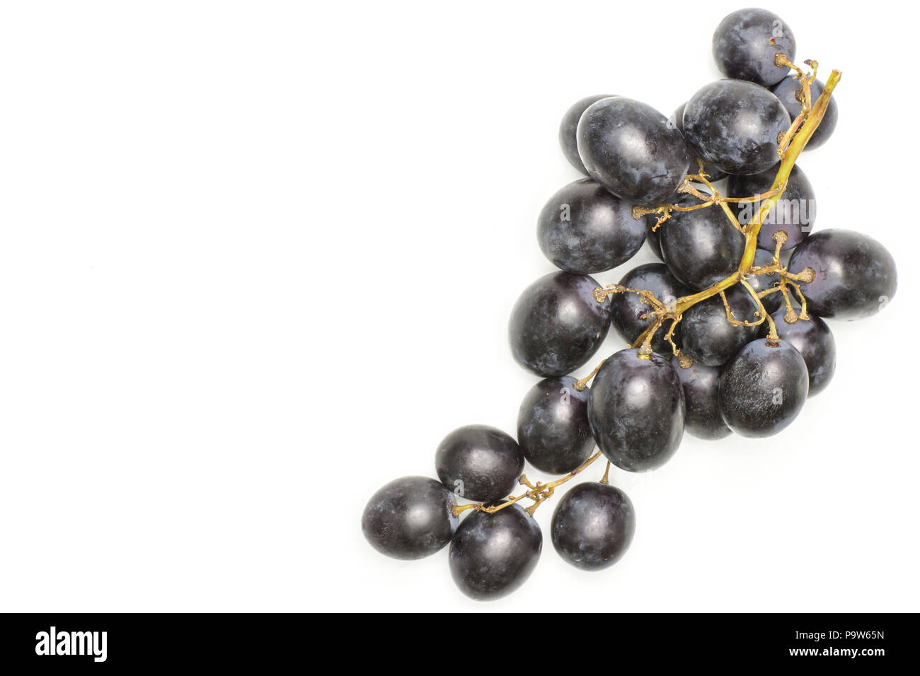 Black grape cluster (autumn royal variety) top view isolated on white ...