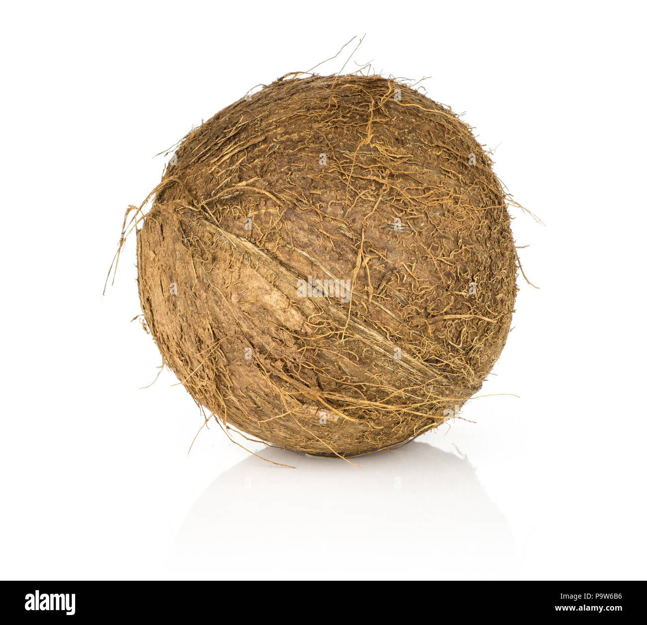 One coconut isolated on white background brown fibrous shell Stock ...