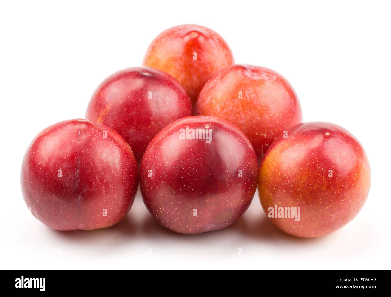 Six plums red orange isolated on white background like billiard balls ...