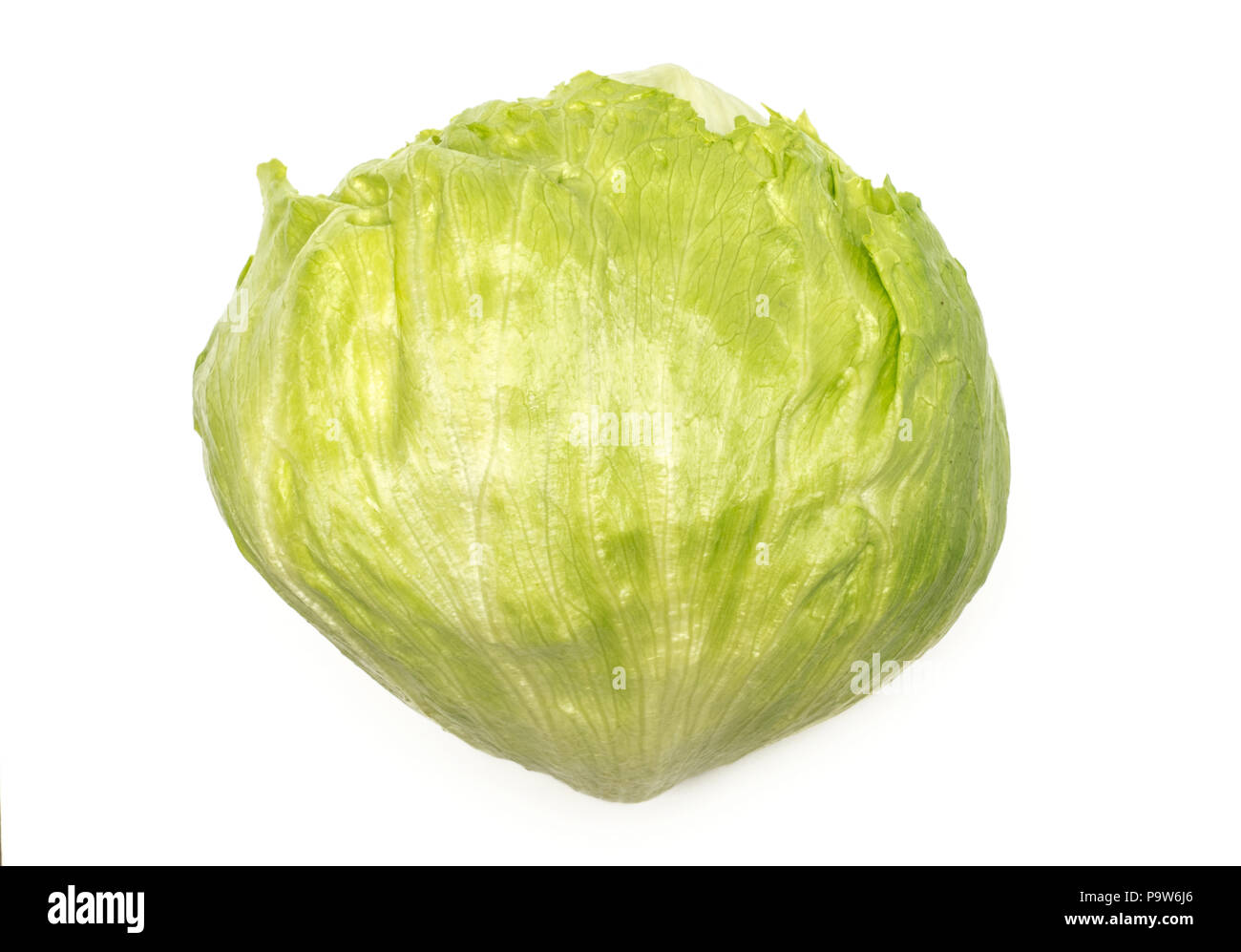 Iceberg lettuce one fresh green cabbage head top view isolated on white ...