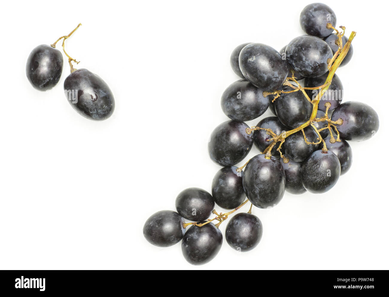 Black grape cluster (autumn royal variety) with two purple berries top ...