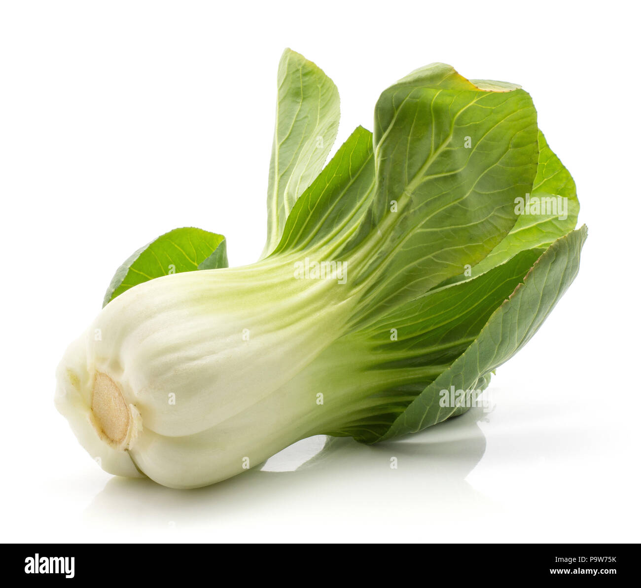 One bok choy (Pak choi) isolated on white background fresh Stock Photo ...