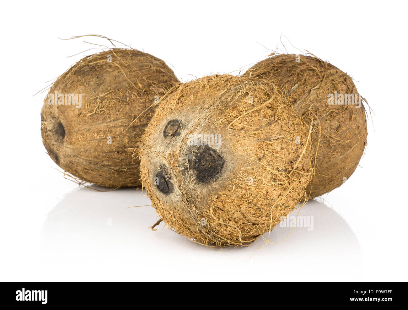 Three coconuts isolated on white background brown fibrous shell Stock ...