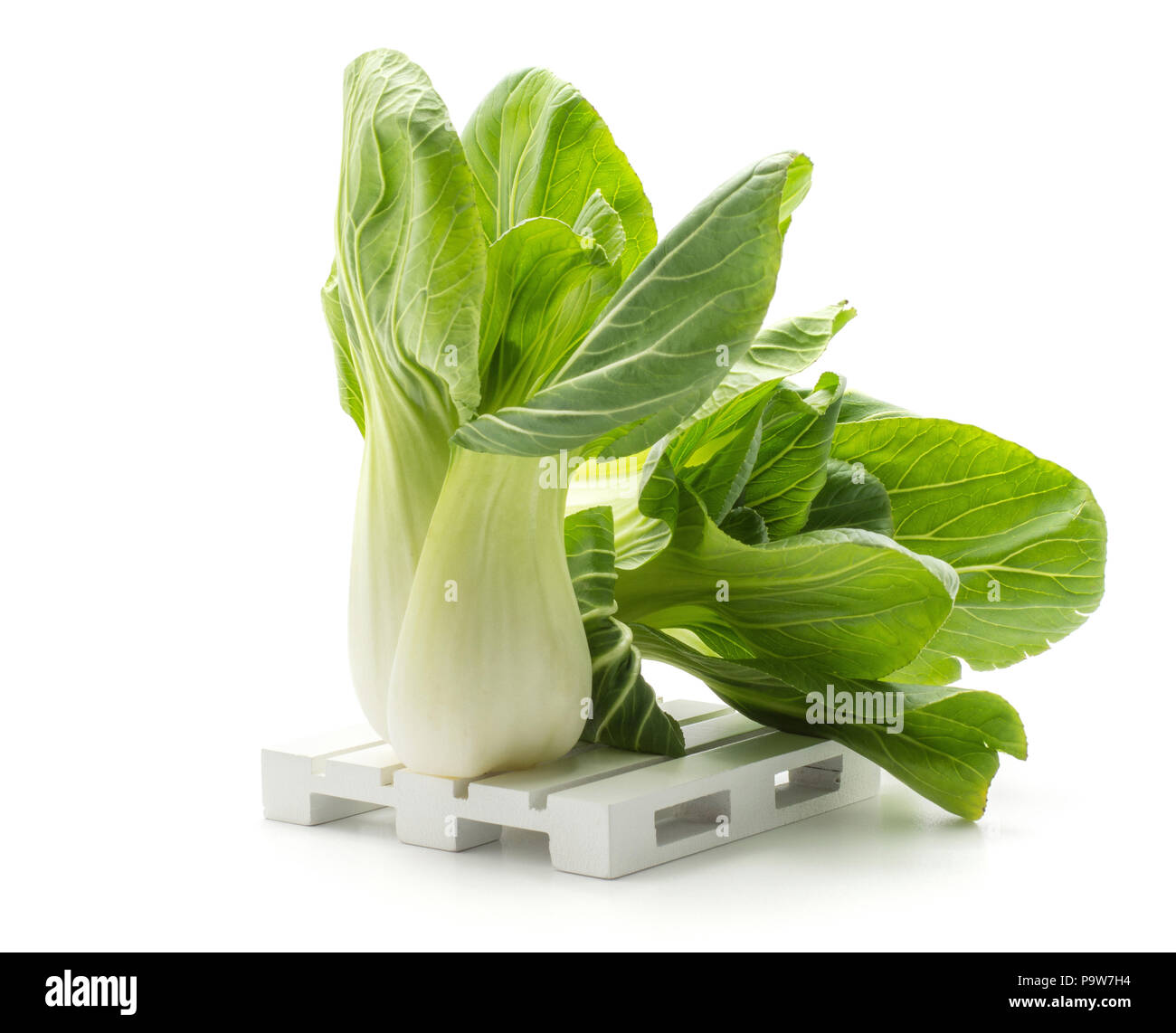 Two bok choy (Pak choi) on a pallet isolated on white background Stock ...