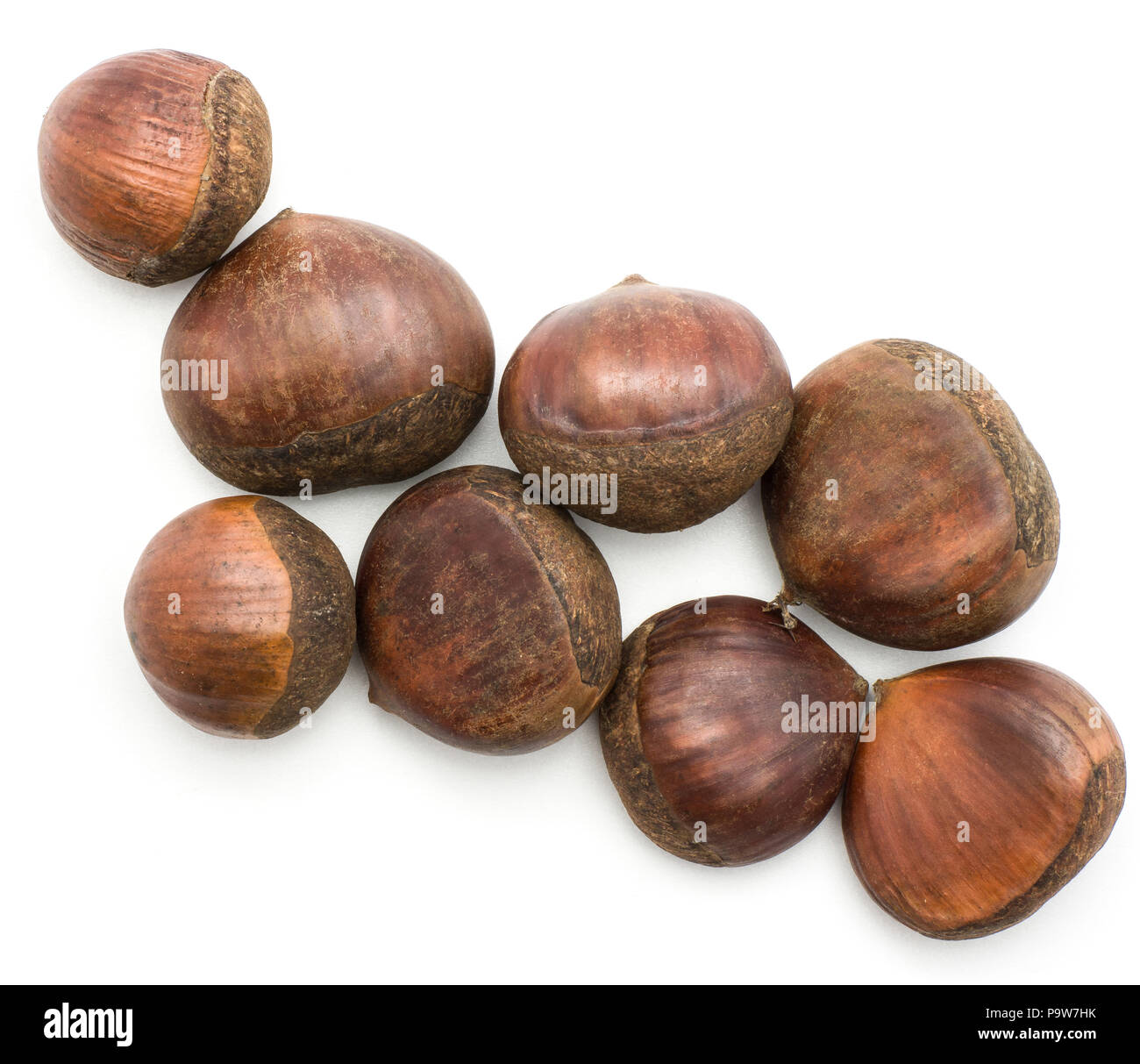 European chestnuts Spanish edible isolated on white background raw ...