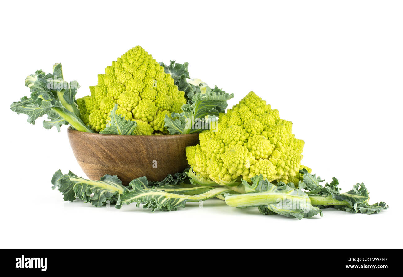 Lime green spiky leaves Cut Out Stock Images & Pictures - Alamy