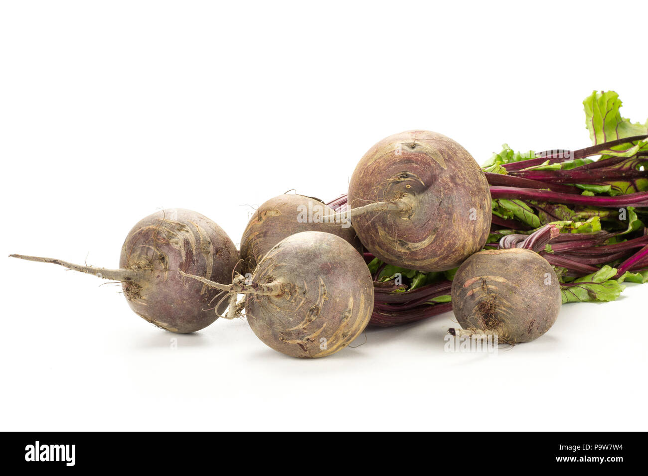 Red beet bundle with greens isolated on white background five bulbs ...