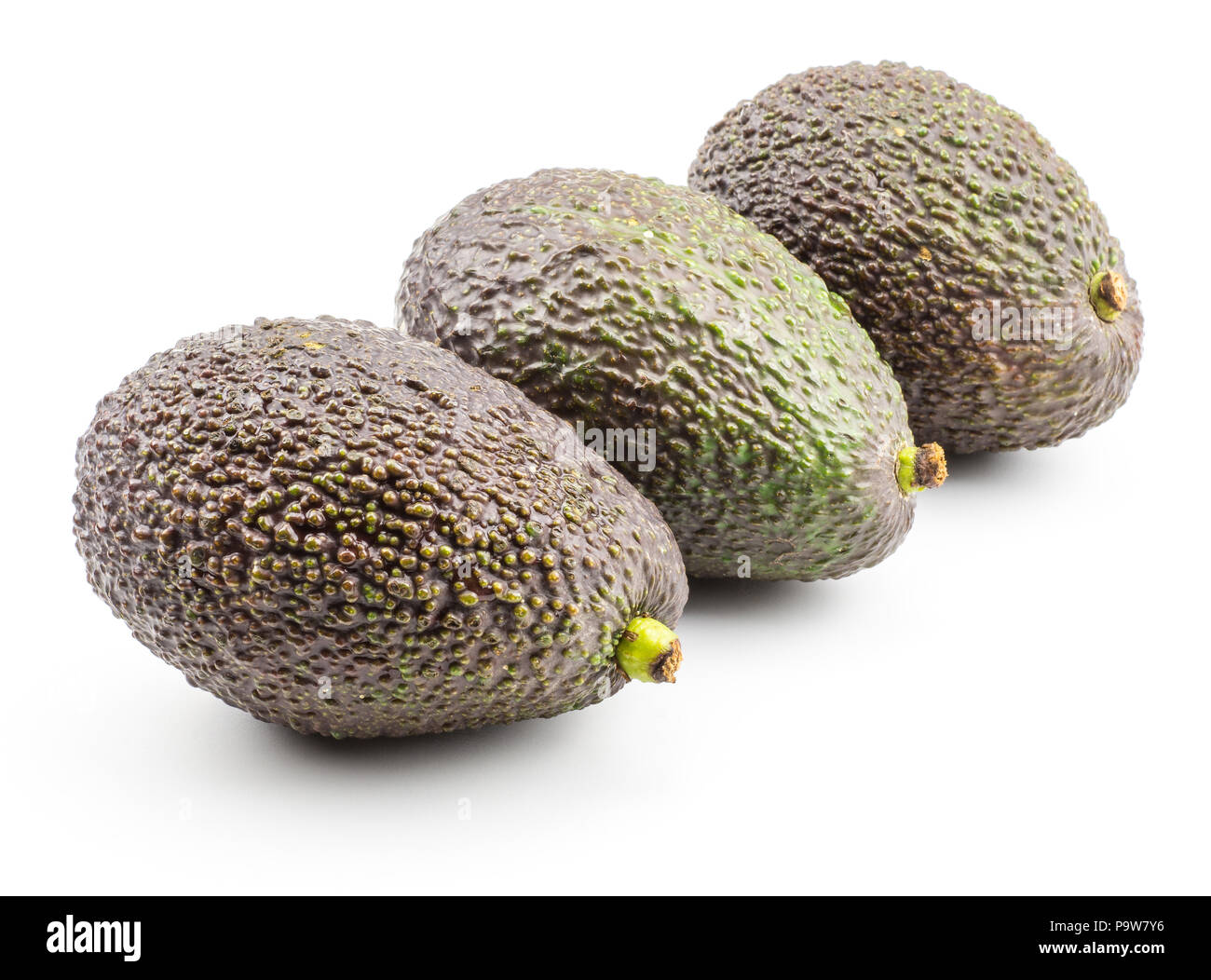 Alligato Cut Out Stock Images & Pictures - Alamy