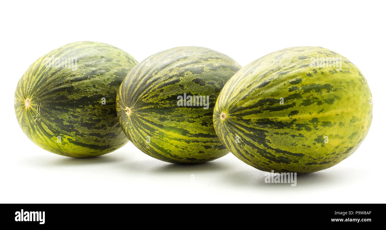 Three melons Piel de Sapo (Santa Claus Christmas variety) isolated on ...