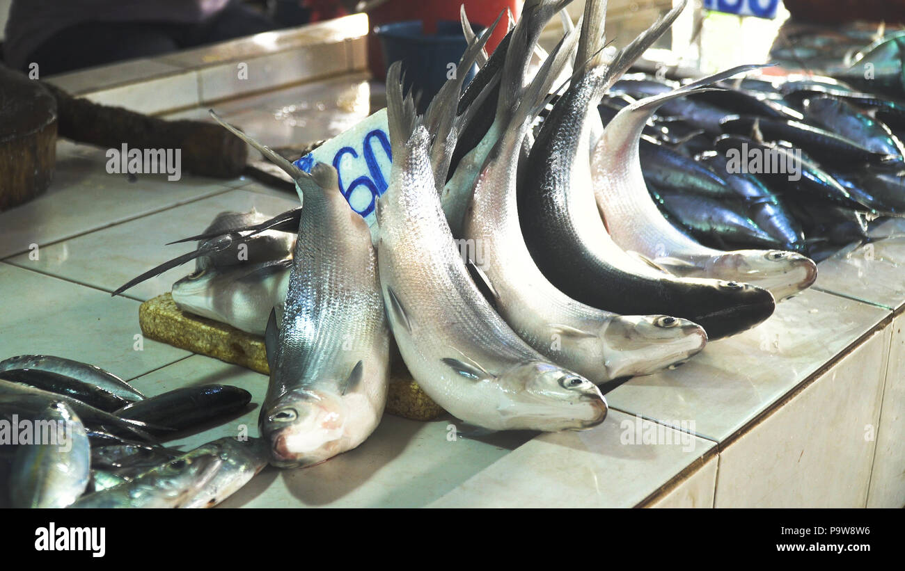 Fresh Fish Market Philippines High Resolution Stock Photography and ...