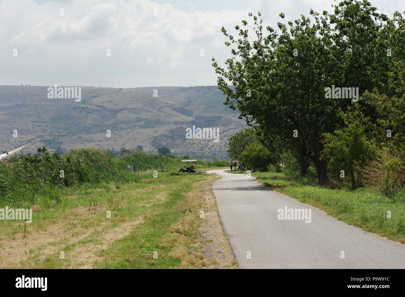 landscape in North Israel Stock Photo - Alamy