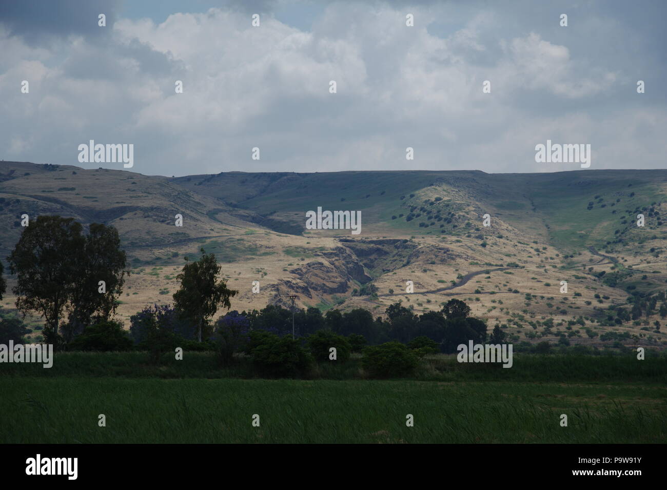 landscape in North Israel Stock Photo - Alamy