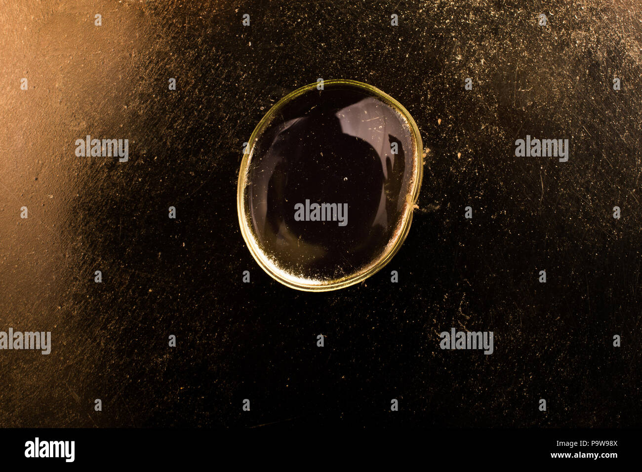 Round water drops in close-up view on background Stock Photo - Alamy