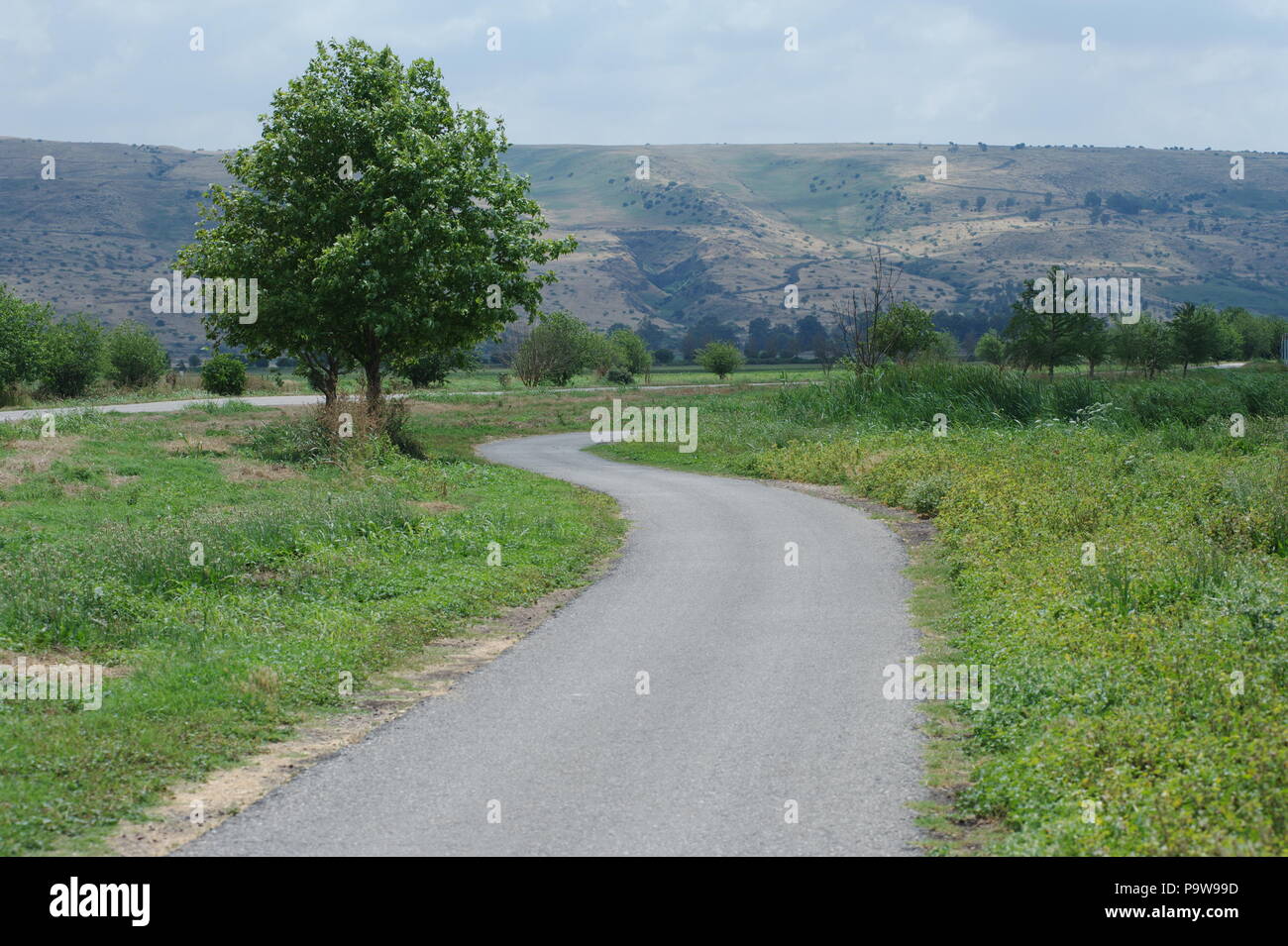 landscape in North Israel Stock Photo - Alamy