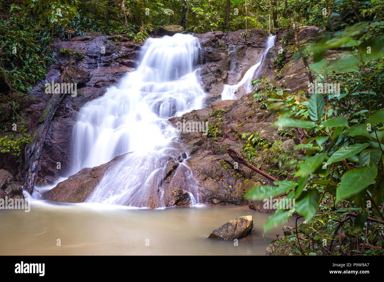 Kathu Waterfall in Phuket is a conservation area surrounding with the ...