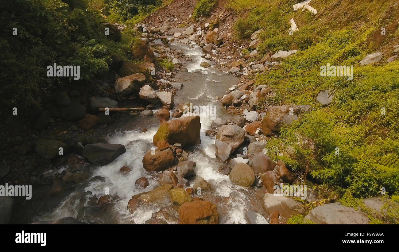 Landscape with lush forest and a river flowing through mossy boulders ...