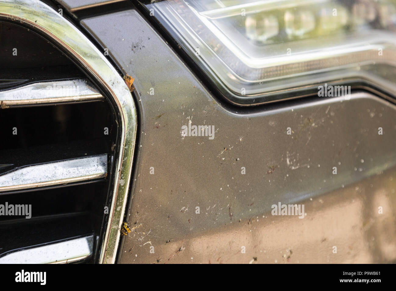 Close-up of car front bumper with many smashed insects. High speed ...