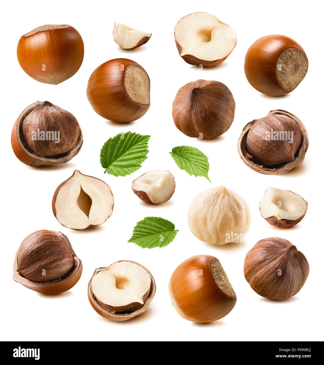 Hazelnut or cob nut hi-res stock photography and images - Alamy