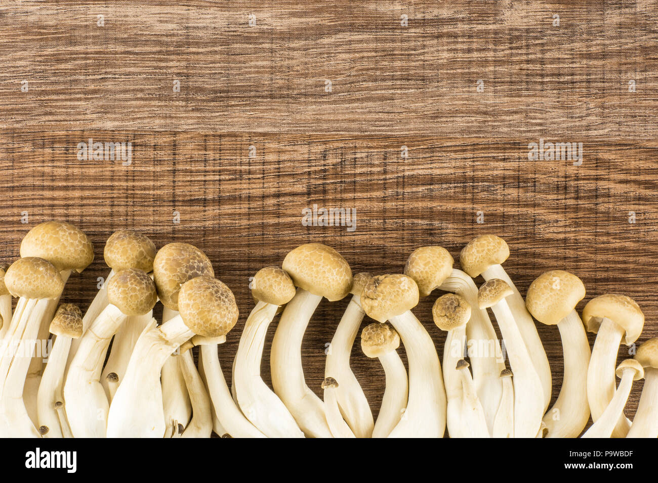 Brown beech mushrooms Shimeji isolated on wooden background top view ...