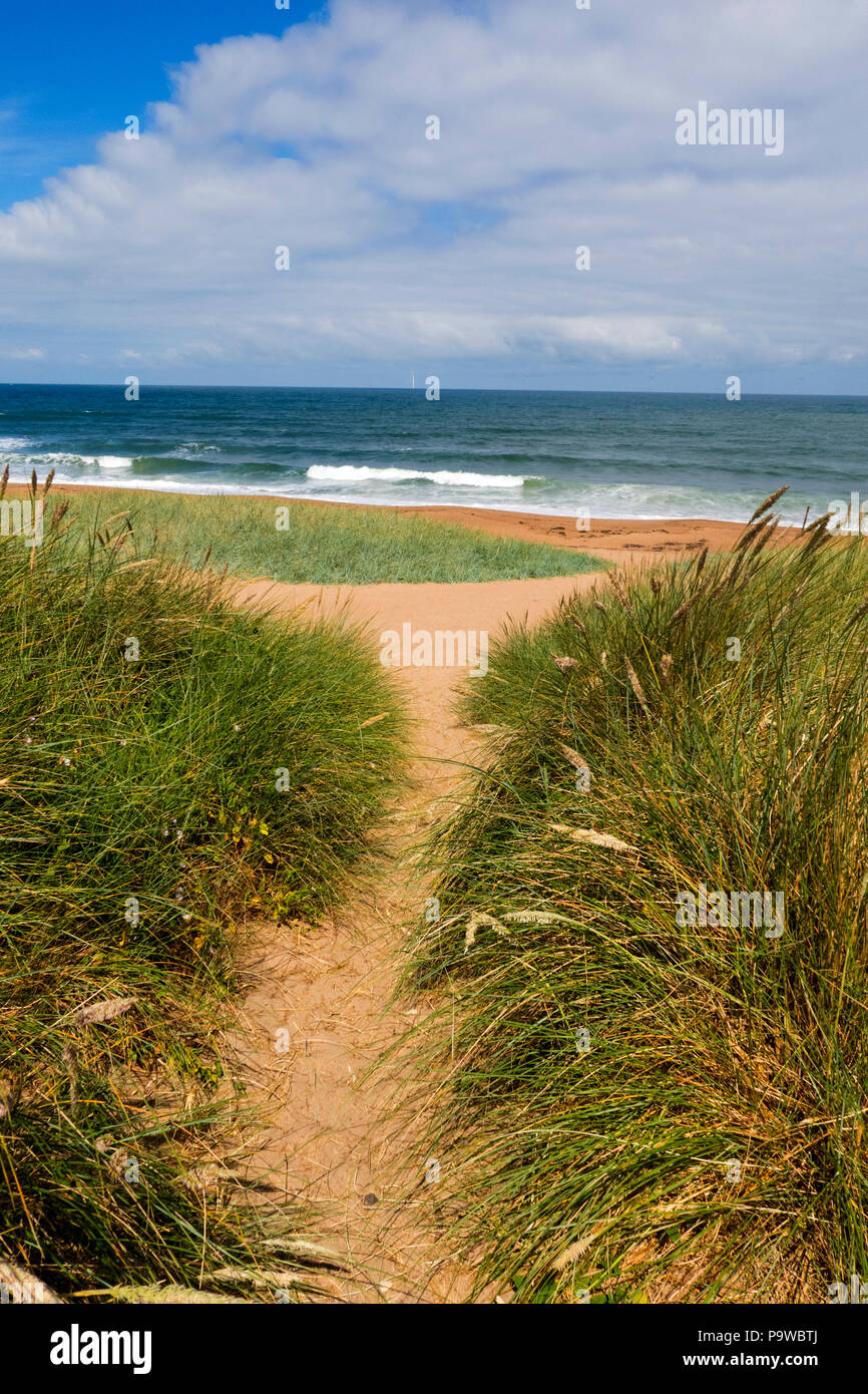 Sandy beach at Seaburn UK Stock Photo - Alamy