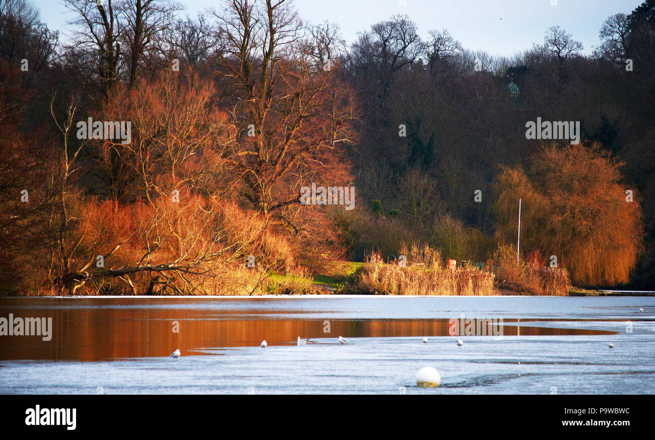 Landscapes , Flowers and wildlife Stock Photo - Alamy