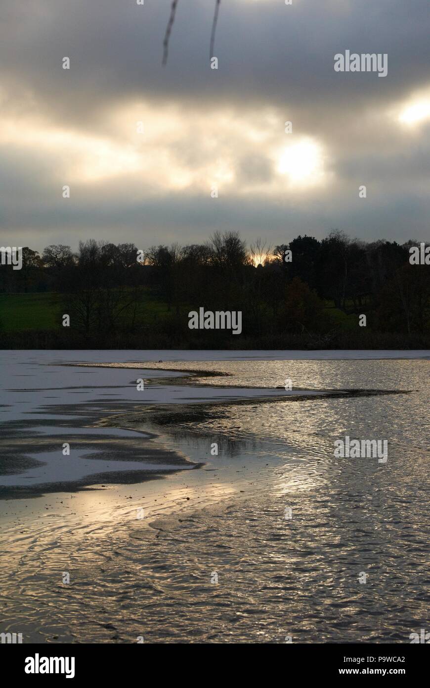 Landscapes , Flowers and wildlife Stock Photo - Alamy