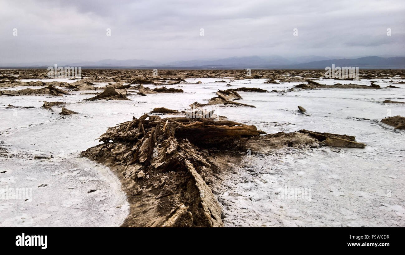 Salt Lake Karum aka Lake Assale or Asale , Danakil Afar, Ethiopia Stock ...