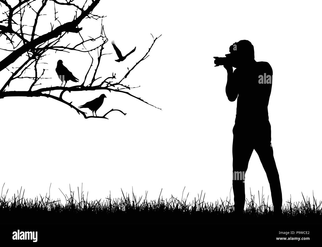 A young man in nature photographing birds sitting on tree branch ...