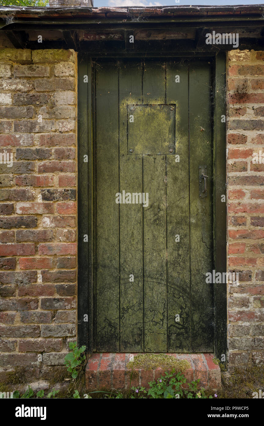 Old neglected closed dirty wooden door coated in algae and spiders webs ...