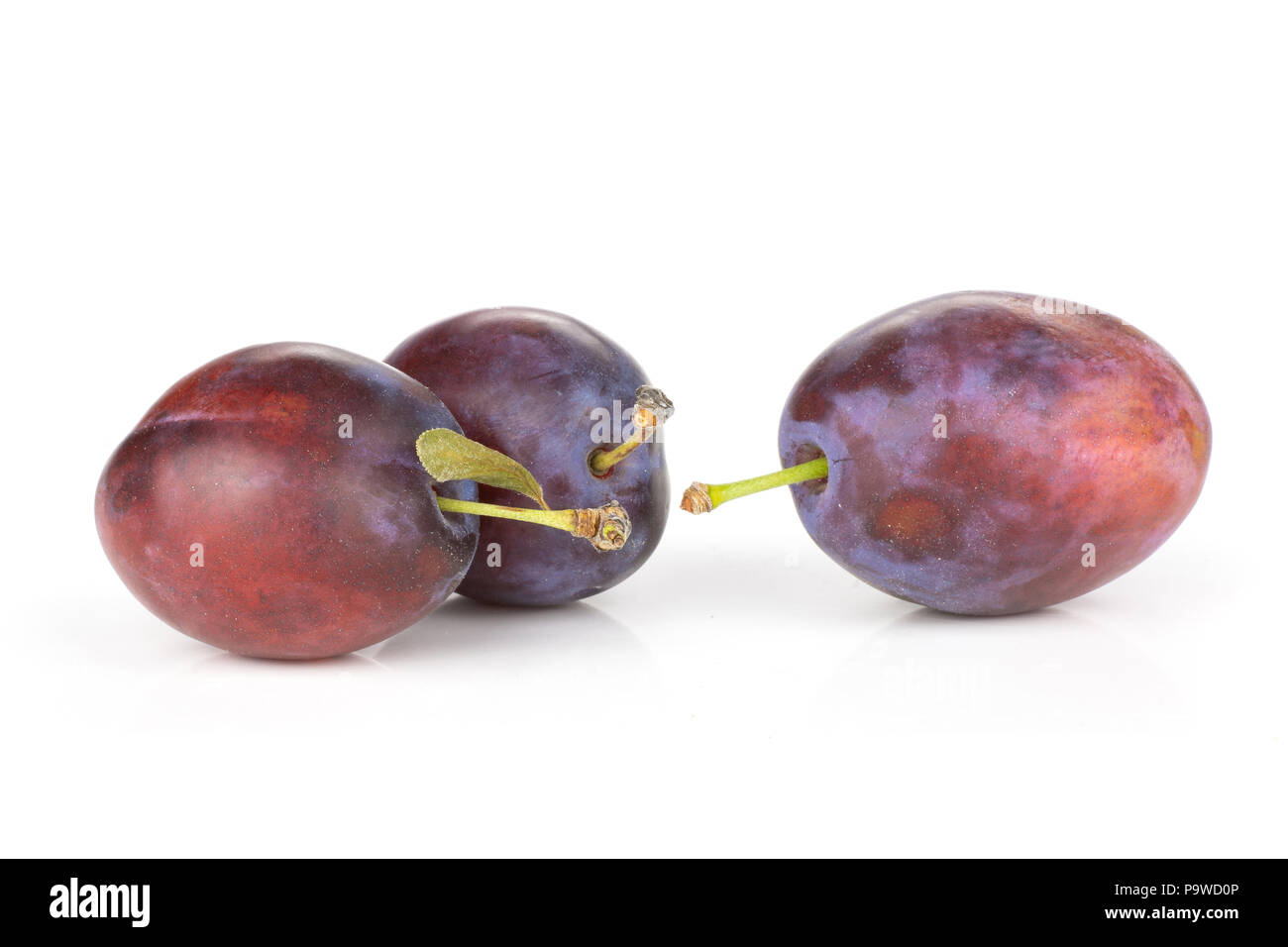 Group of three whole fresh violet-blue plum vibrant moyer variety ...