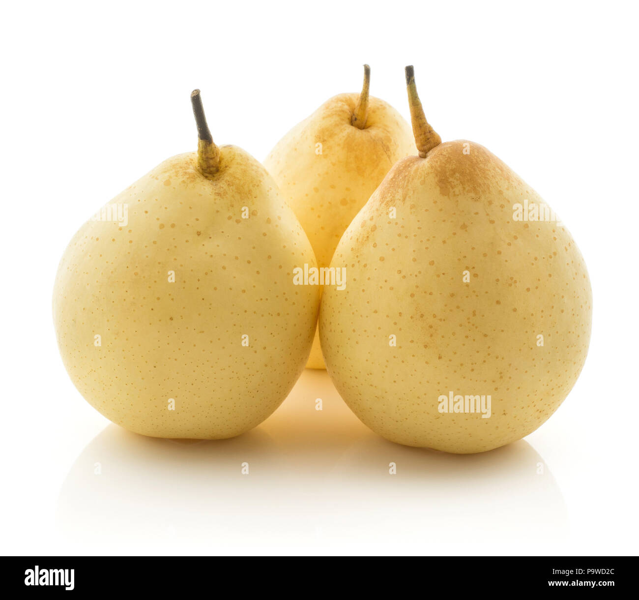 Nashi pears (Russet pear) isolated on white background three whole ...