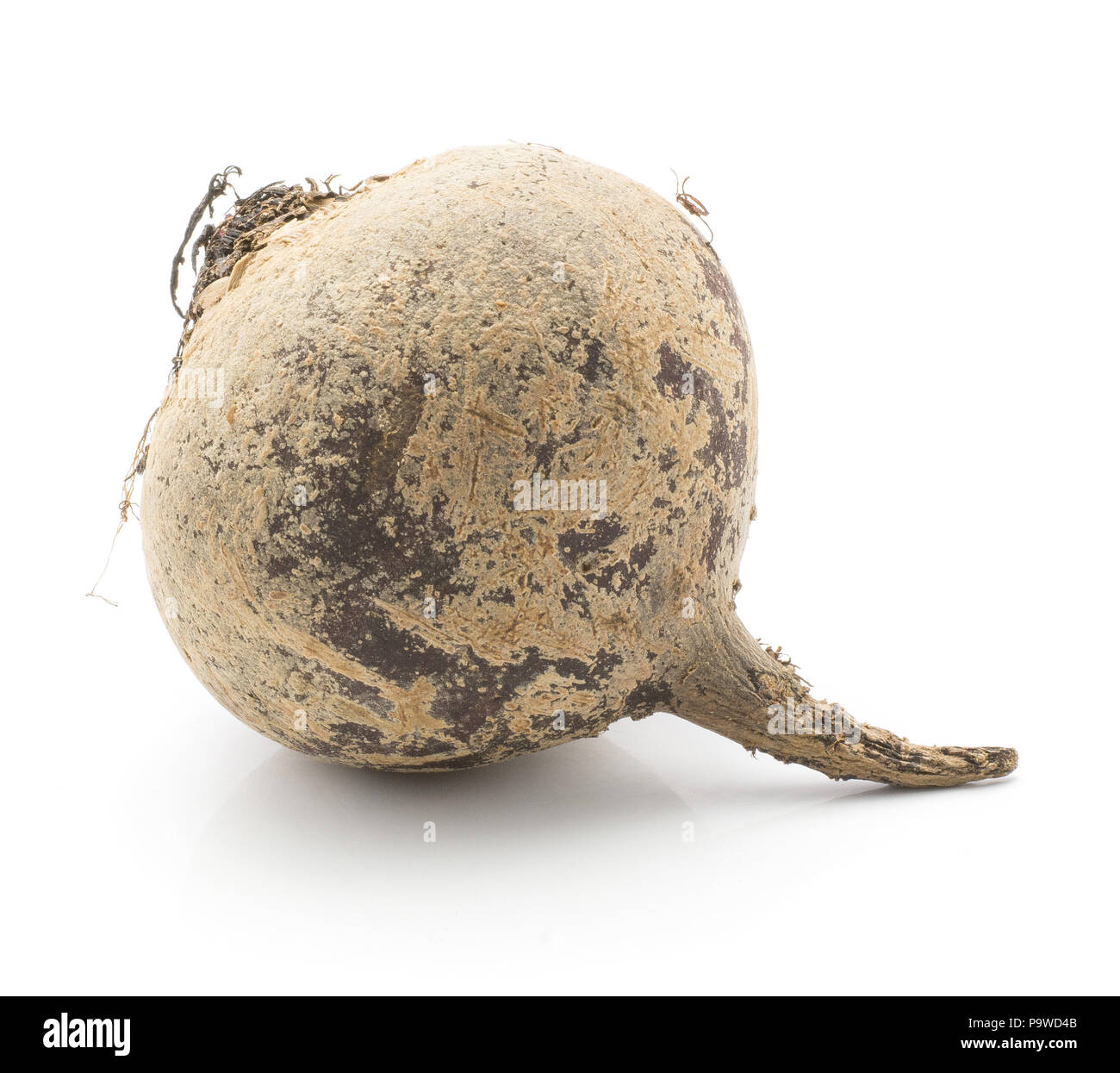 Beetroot (raw red beet) isolated on white background one bulb Stock ...